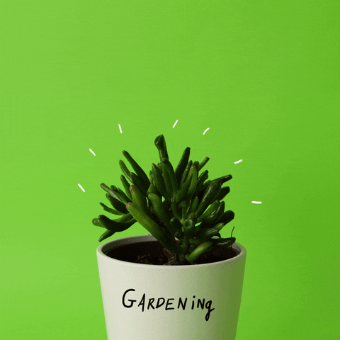 The Bam&Boo GIF - Find & Share on GIPHY