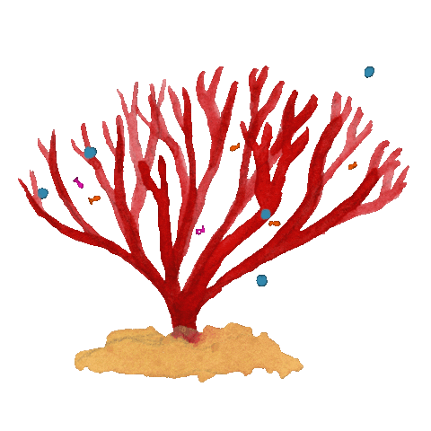 Coral Real World Gif