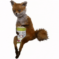 Was Sagt Der Fuchs Gif Kleiner Fuchs GIFs Find & Share On GIPHY