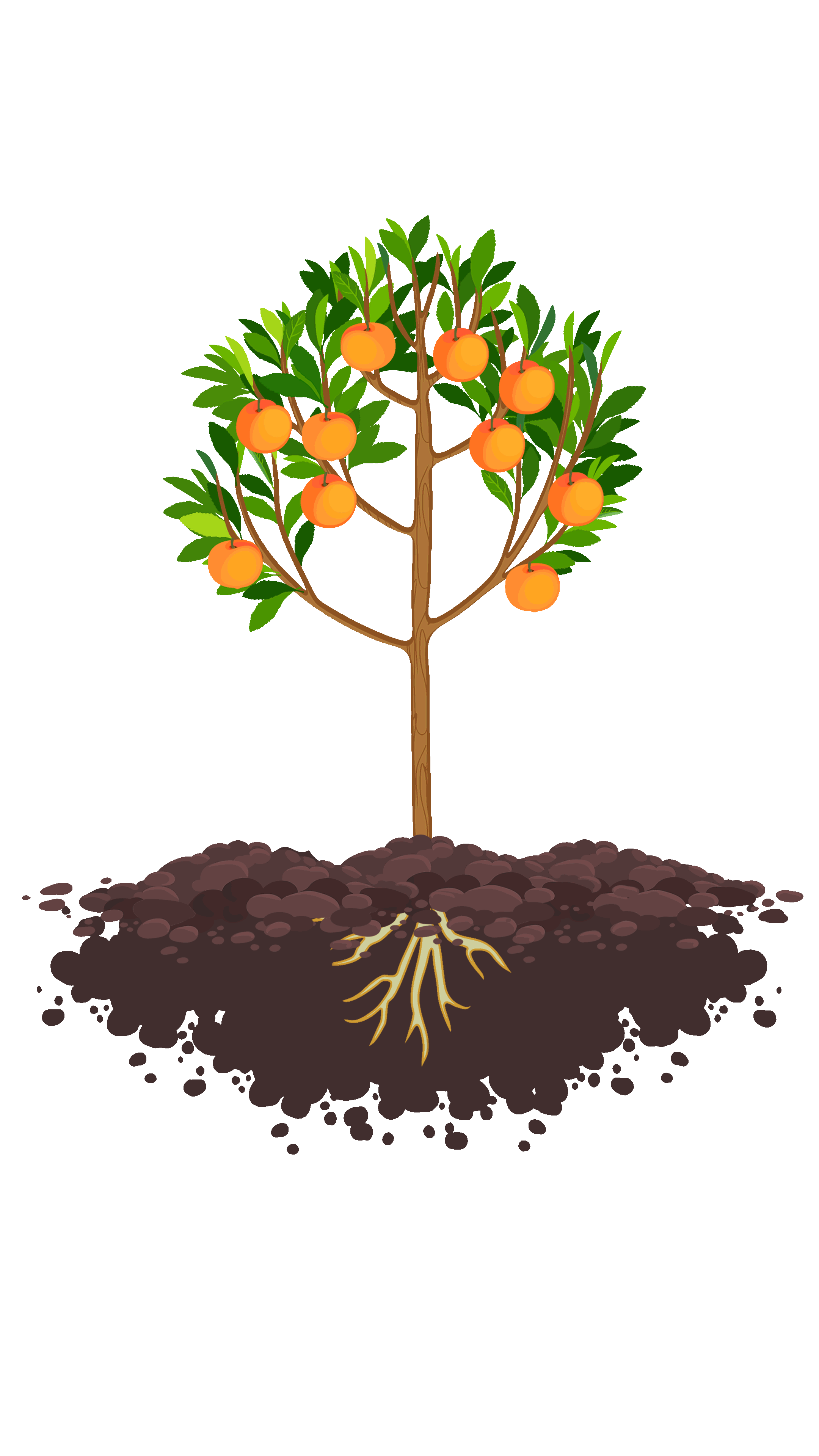 Garden Growing Sticker by Mini-Farm Grow Kits for iOS & Android | GIPHY