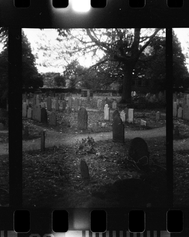 Horror Halloween Graveyard Scary GIFs - Get the best GIF on GIPHY