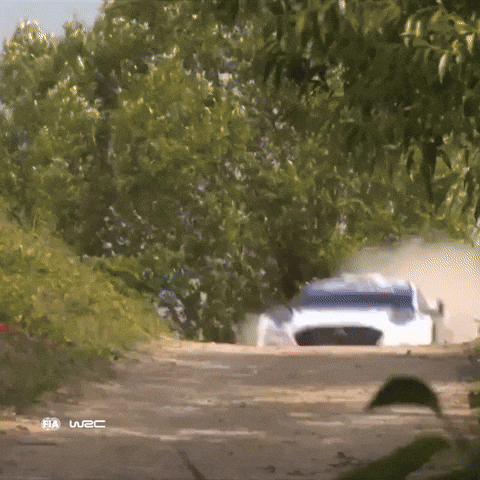 7_ORLEN 80th Rally Poland 2024 GIFs on GIPHY - Be Animated
