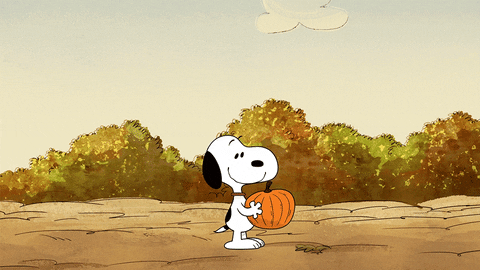 Happy Fall Season GIF by Peanuts - Find & Share on GIPHY