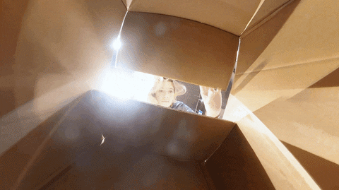 Reaction Gifs GIFs on GIPHY - Be Animated