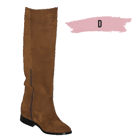 Fillies and Boots GIFs - Find & Share on GIPHY