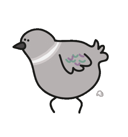 Bird Pigeon Sticker by TeaBag for iOS & Android | GIPHY