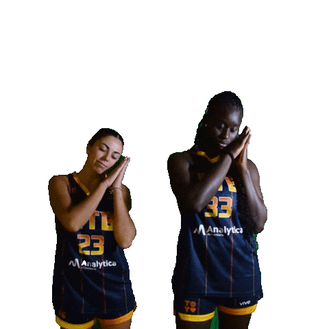 El Toyo Basket GIFs on GIPHY - Be Animated