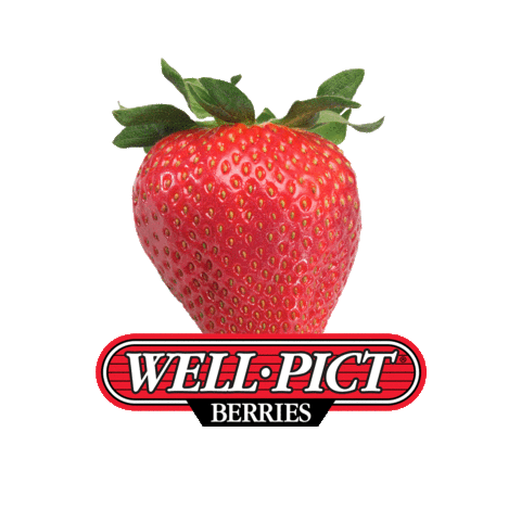 Well Pict Berries GIFs on GIPHY - Be Animated