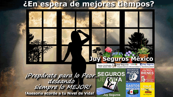 Agente de Seguros y Fianzas JUY MEXICO GIFs on GIPHY - Be Animated