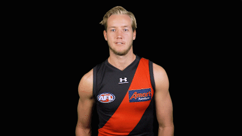 Essendon Bombers GIFs - Get the best GIF on GIPHY