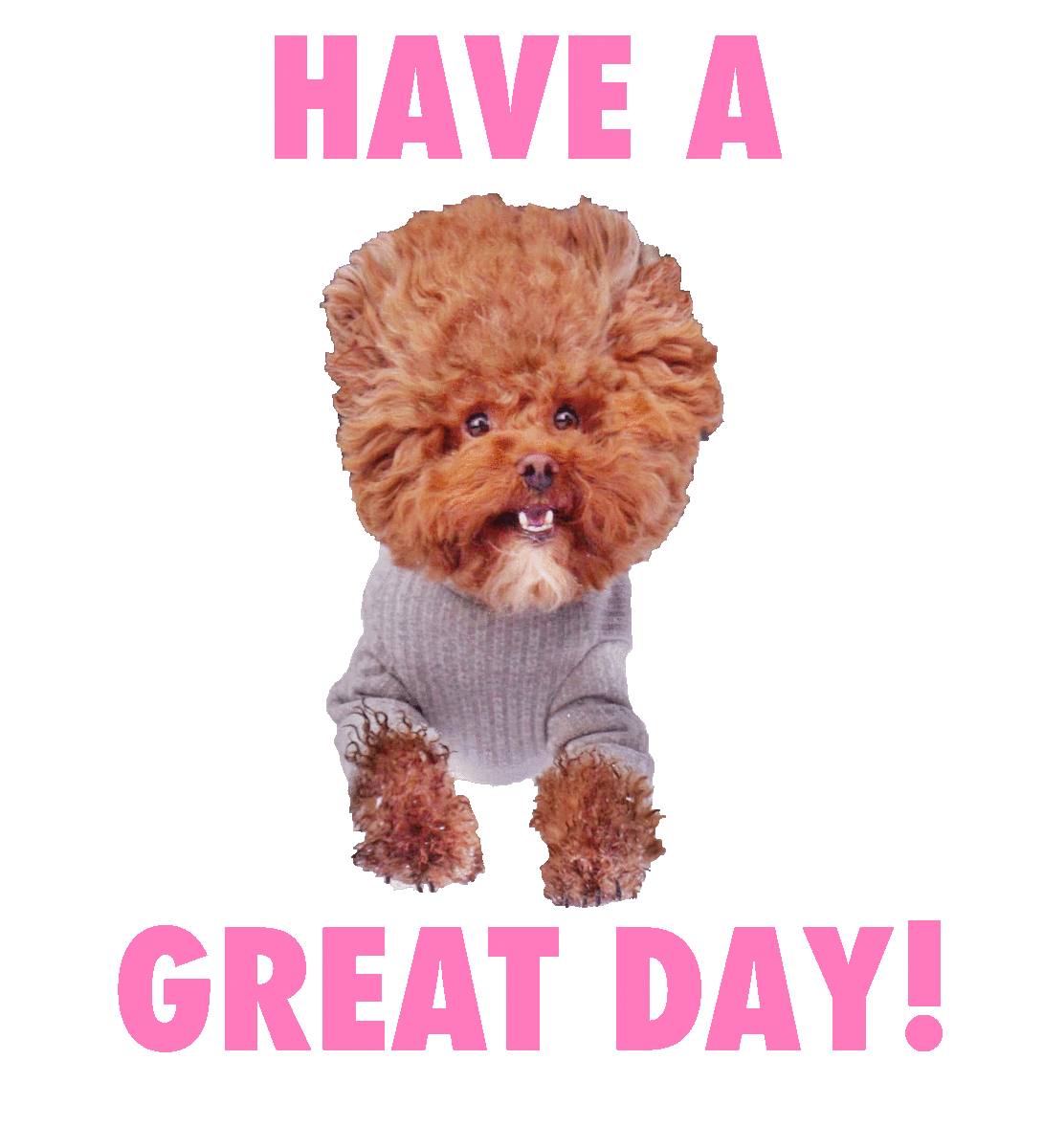 Dog Hello Sticker for iOS & Android | GIPHY