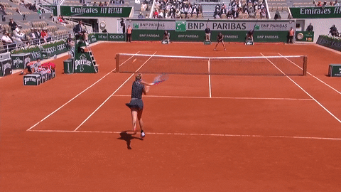 French Open Omg GIF by Roland-Garros - Find & Share on GIPHY