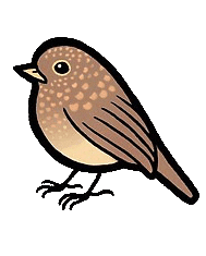 SPRINGWATCH GIFs on GIPHY - Be Animated