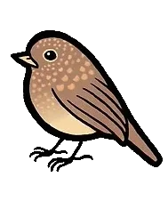 SPRINGWATCH GIFs on GIPHY - Be Animated