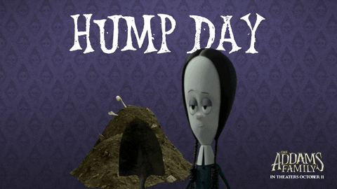 Wednesday Addams GIFs - Find & Share on GIPHY