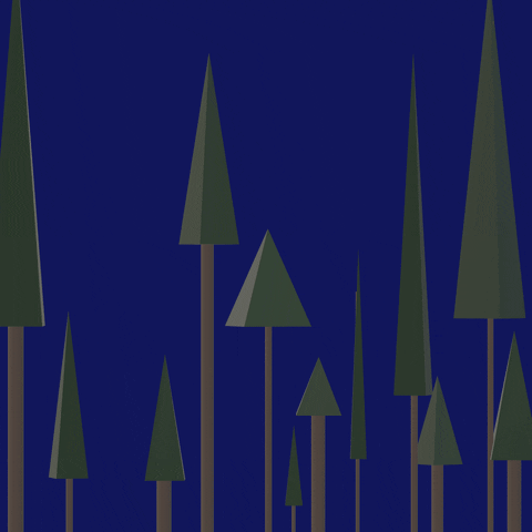 Night Forest GIFs - Get the best GIF on GIPHY