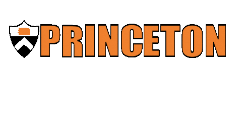 Princeton Logo Transparent