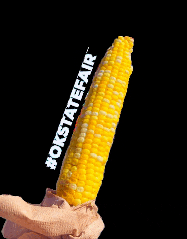 2019 Ok State Fair GIFs - Get the best GIF on GIPHY