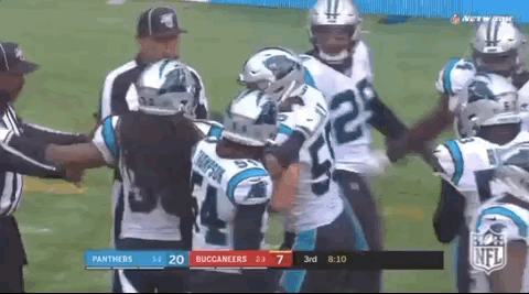 Carolina Panthers Football GIF by NFL - Find & Share on GIPHY