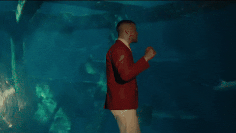 Shipwrecks GIFs - Get the best GIF on GIPHY