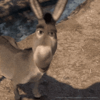 Shrek Donkey Pick Me Gif