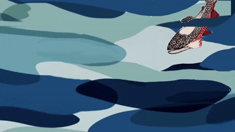 Water Fish GIFs - Find & Share on GIPHY