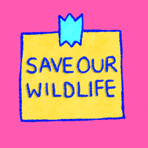Wildlife Conservation GIFs - Find & Share on GIPHY