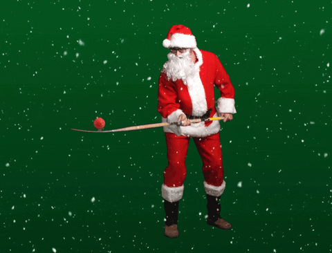Merry Christmas Sport GIF by Jake Martella - Find & Share on GIPHY