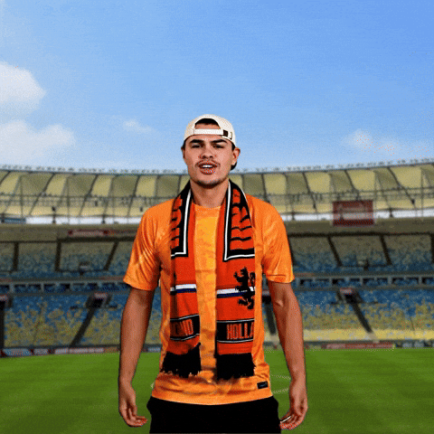 Netherlands-world-cup GIFs - Get the best GIF on GIPHY