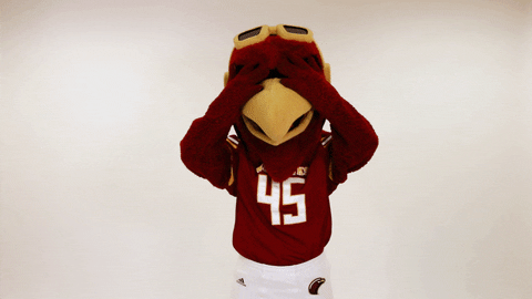 Ace Ulm GIF by University of Louisiana Monroe - Find & Share on GIPHY