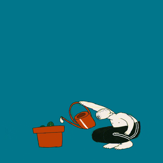 Wateringplant GIFs - Get the best GIF on GIPHY