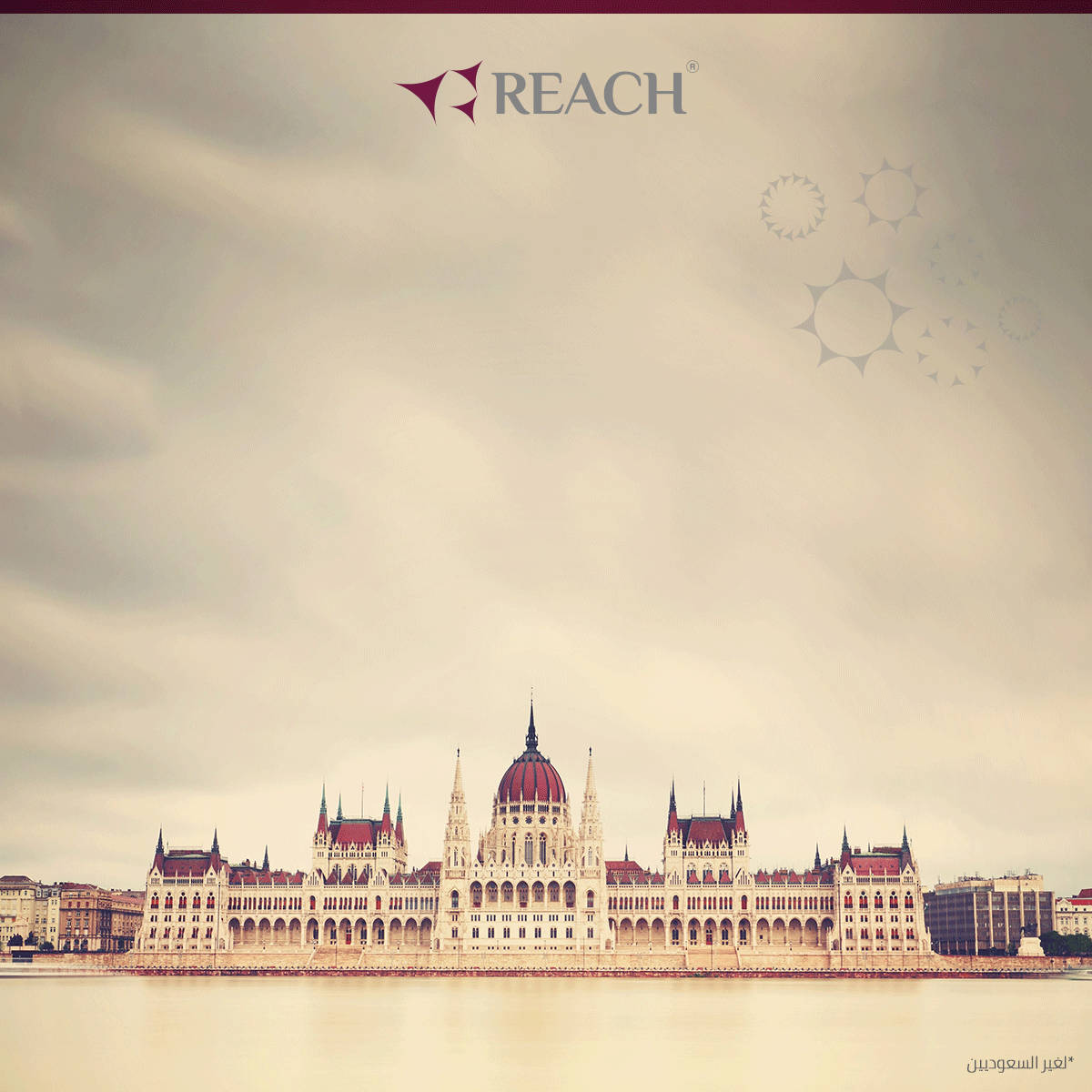 Reach Immigration GIF - Find & Share on GIPHY