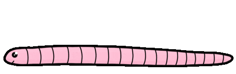 Near-eradication of guinea worm disease is a public health success ...