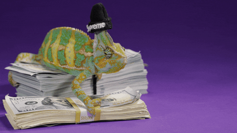 Winston Literally Just Vibing by Zack Kantor | GIPHY