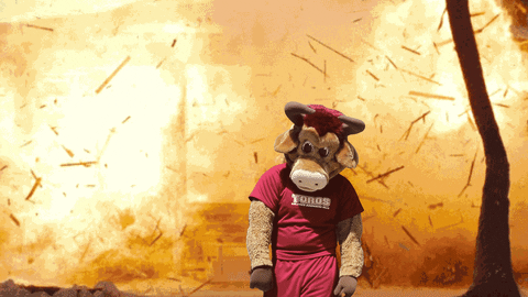 Explosion Csudh GIF by CSUDHTeddyToro - Find & Share on GIPHY