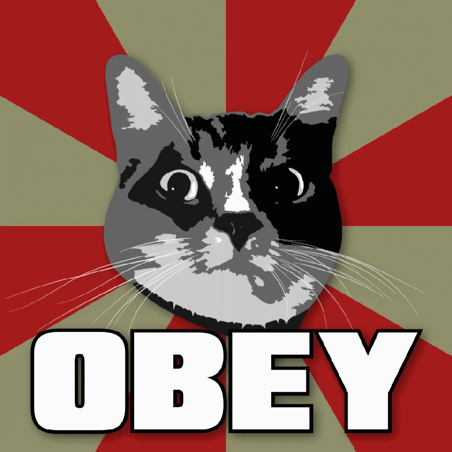 Cat Obey GIF - Find & Share on GIPHY