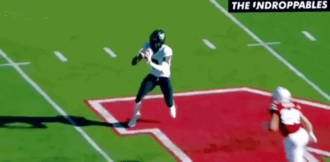 Funny Sports Gifs