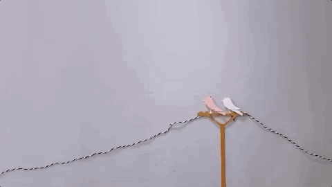 Pageant Material GIFs on GIPHY - Be Animated