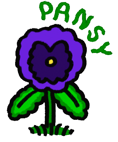 Flower Pansy Sticker by Bianca Maradiaga for iOS & Android | GIPHY