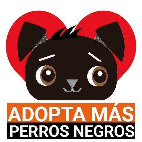 Perro Negro GIFs - Get the best GIF on GIPHY