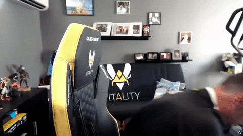 Team Vitality GIF - Find & Share on GIPHY