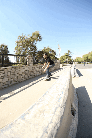 Misled Youth GIFs - Get the best GIF on GIPHY