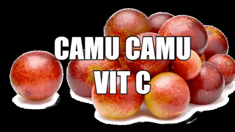 Camu-camu GIFs - Get the best GIF on GIPHY