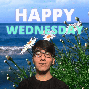 Hello Wednesday Clips - Find & Share on GIPHY