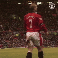 Eric Cantona Kick Gif