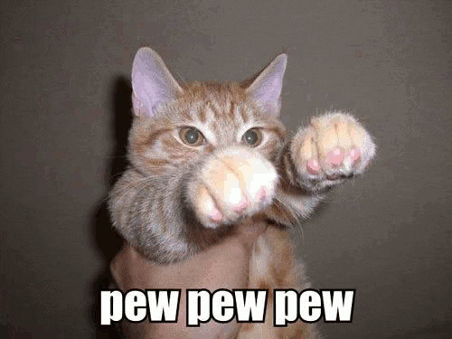 Funny Animals With Guns Gif