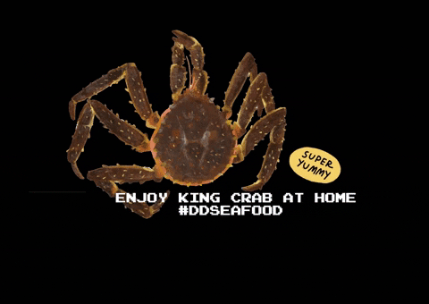 Crab Kingcrab GIF by ddseafood - Find & Share on GIPHY