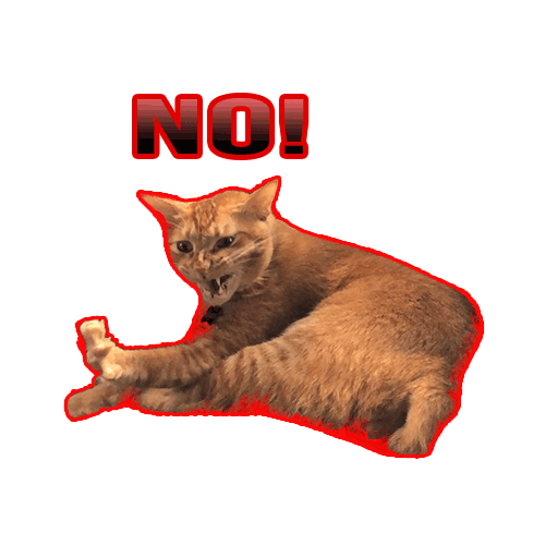 Cat Sticker for iOS & Android | GIPHY