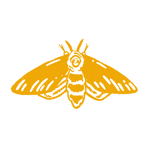 Deaths Head Moth Fly Sticker for iOS & Android | GIPHY