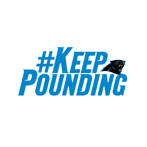 Carolina Panthers GIFs - Get the best GIF on GIPHY